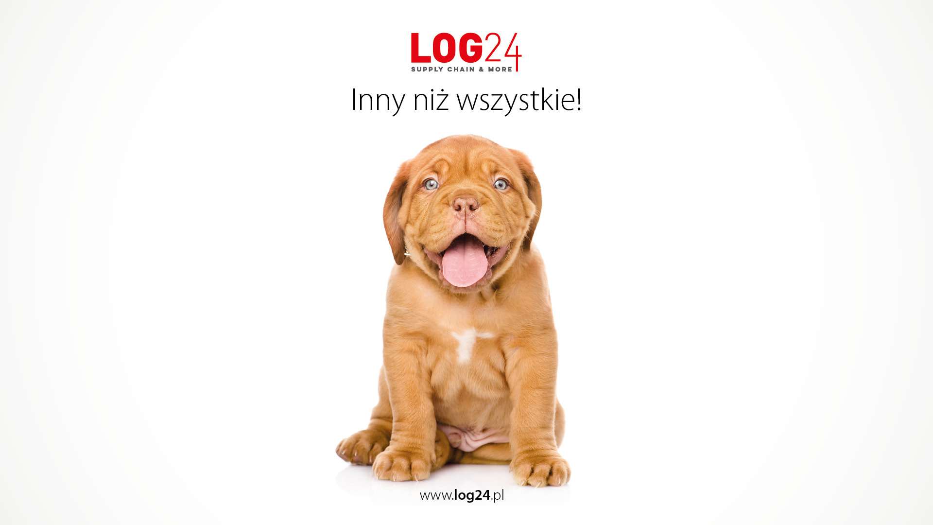Log24.pl – szeroko o rynku i łańcuchu dostaw - Log24.pl