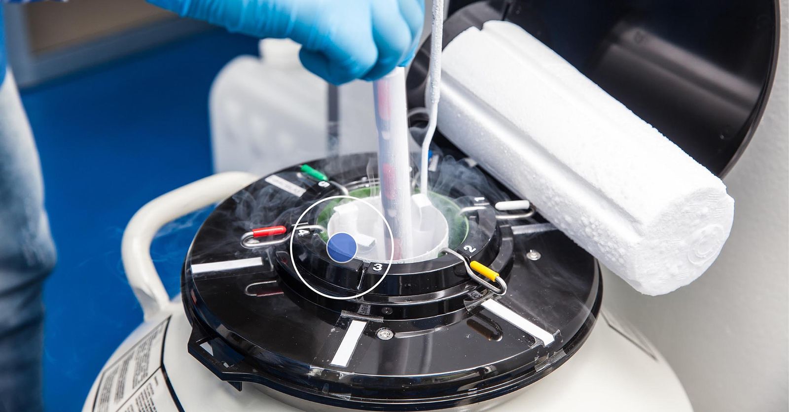 Tive wprowadza kompletne rozwiązanie dostaw łańcucha chłodniczego ...